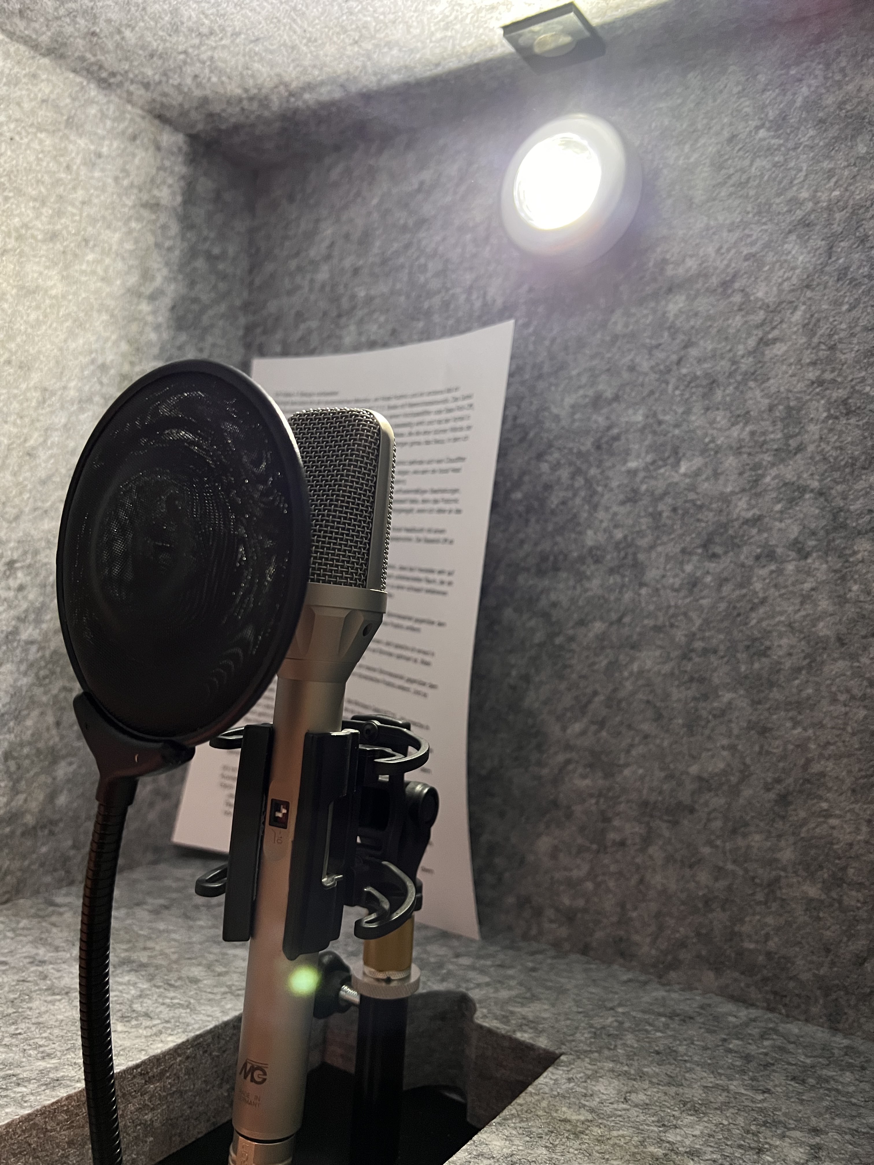 The effect of the vocal head booth for voice recordings (English ...