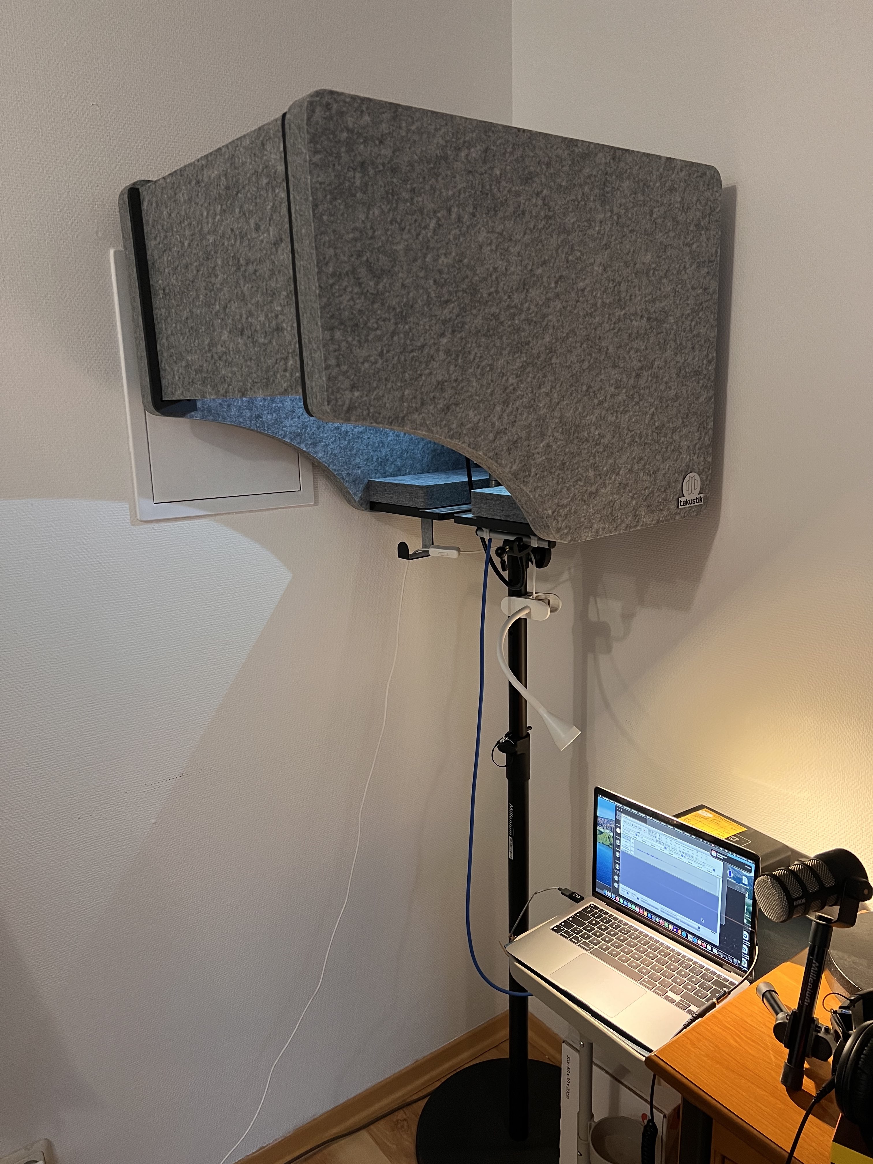 The effect of the vocal head booth for voice recordings (English ...